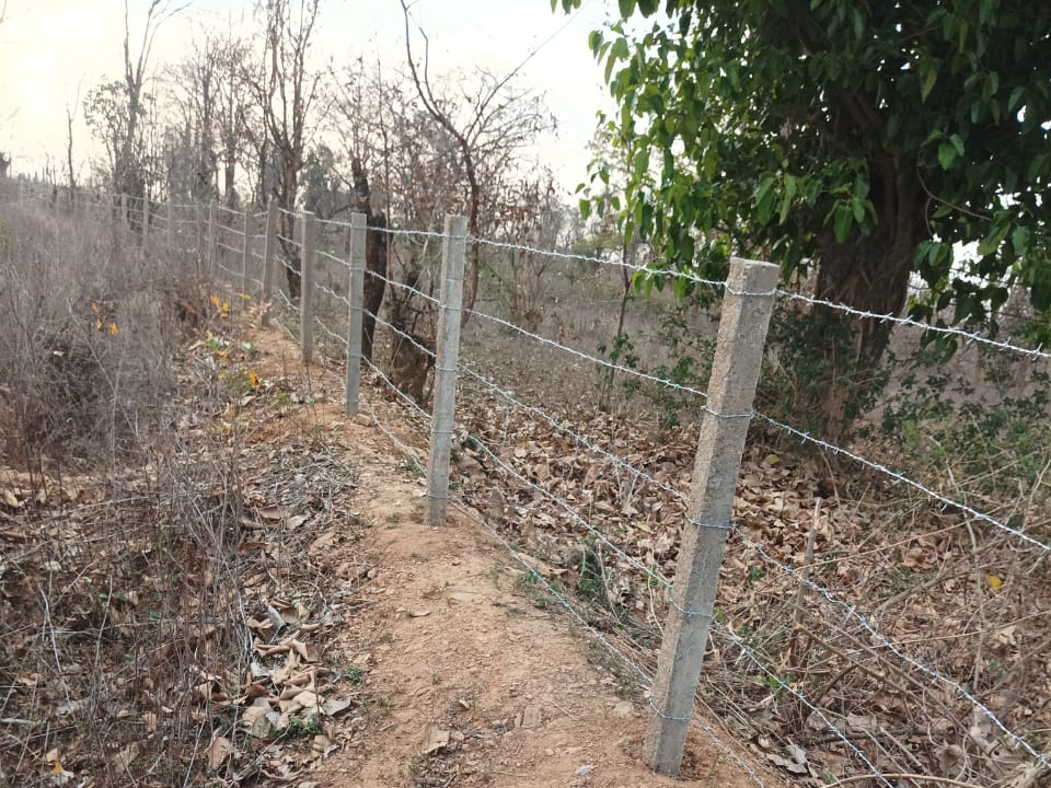 Construction of a unique goat bank in Sonbhadra | सोनभद्र में अनोखे गोट ...
