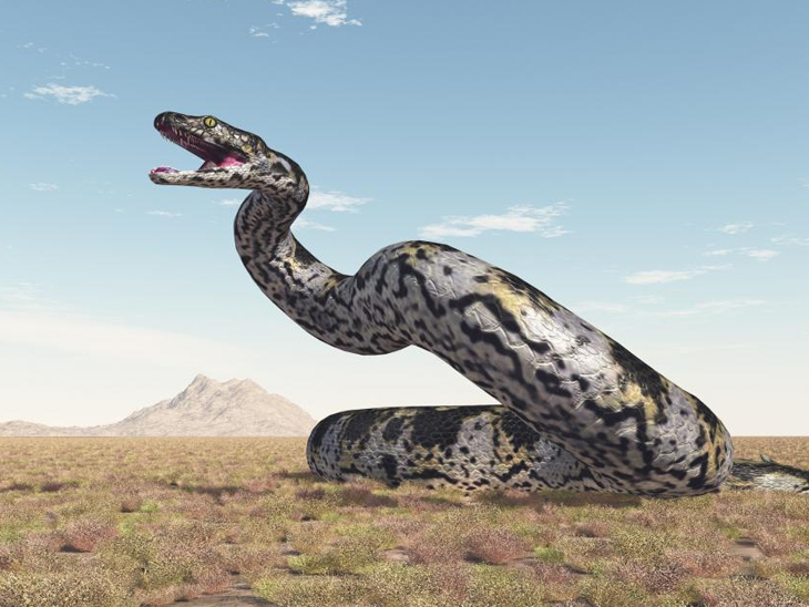 Remains of the largest serpent 'Vasuki' found in Gujarat | गुजरात में ...