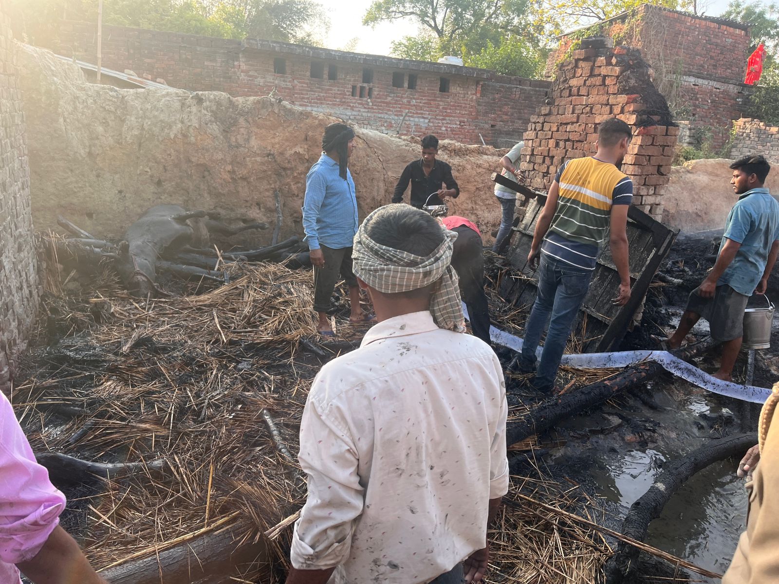 18 bigha crops of two farmers burnt to ashes in Milkipur | मिल्कीपुर ...