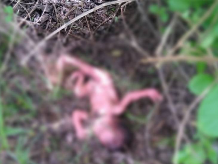 Indore Circumstances made the innocent child a 'special child' | इंदौर ...