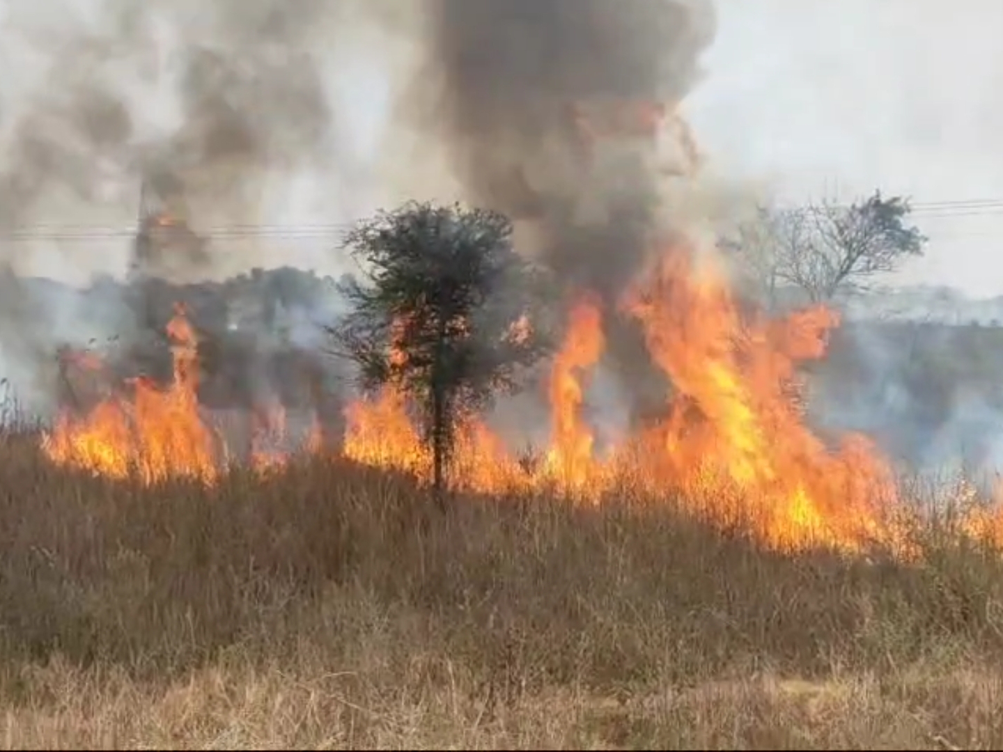 Fire broke out again in the industrial city of Meghnagar | औद्योगिक ...