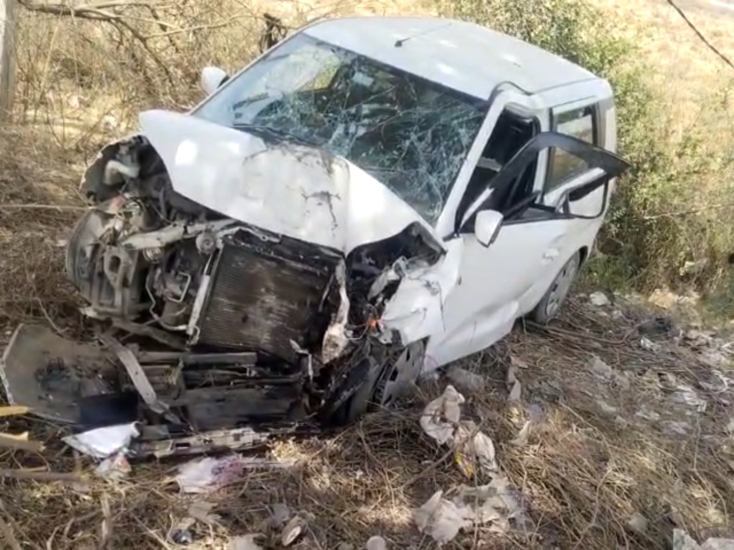 Car collided with a tree while trying to save a stray animal | आवारा ...