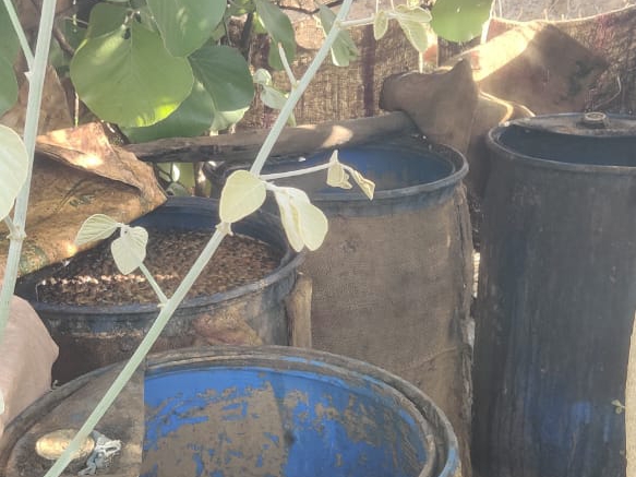 Liquor being made in the forest of Rodia Nimoni was confiscated, 8 ...
