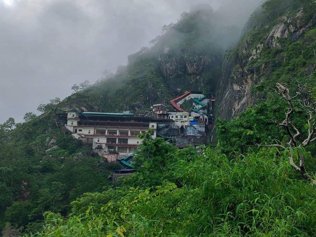 Latest Pali (Marwar) News (पाली न्यूज़): पढ़ें 8 मई के ताज़ा समाचार ...