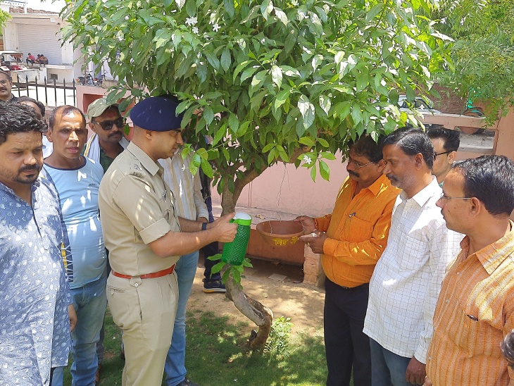 Bird feeders tied in SP office and collectorate | एसपी कार्यालय और ...