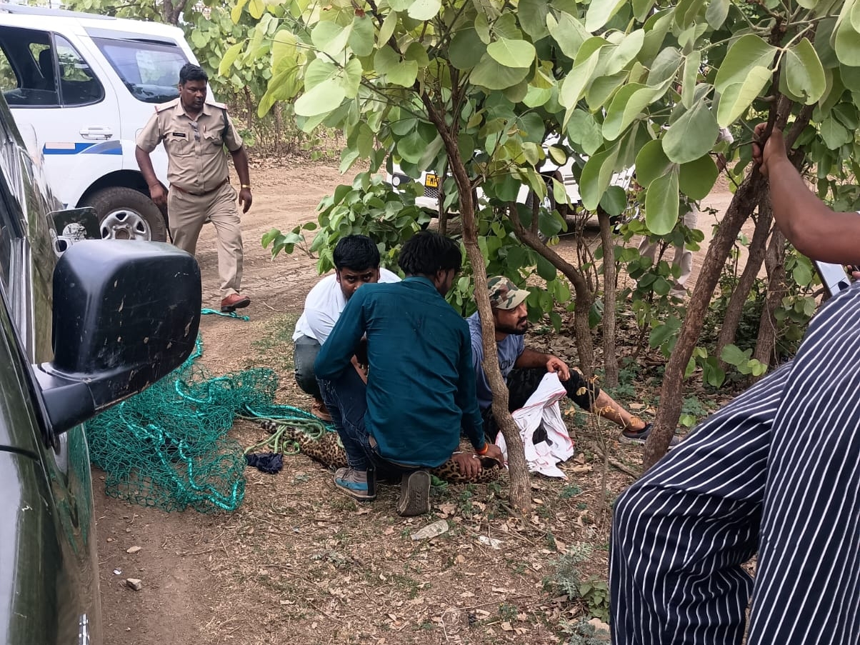MP Itarsi Ordnance Factory Leopard Attack; 5 Injured | Narmadapuram ...