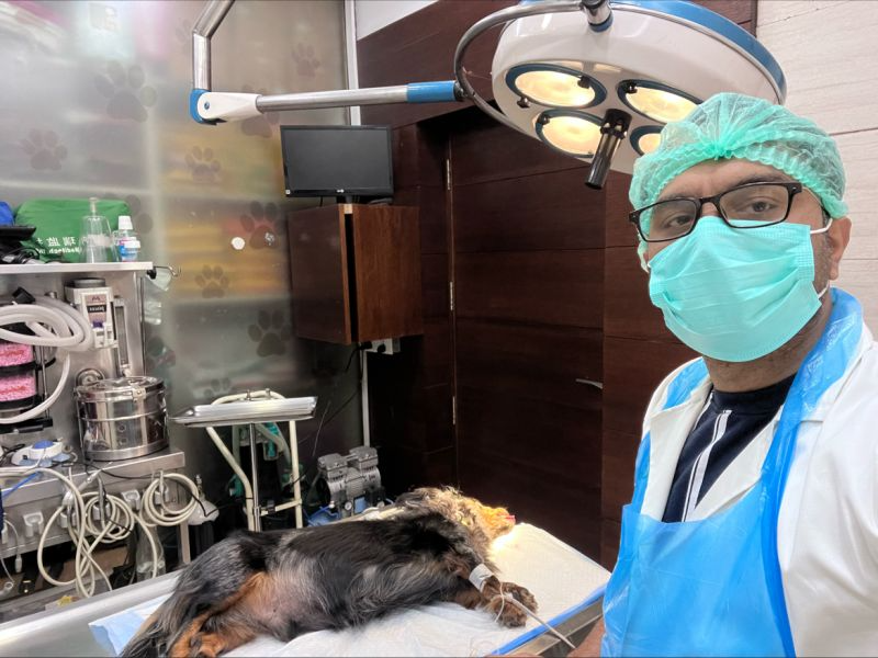 Latest Ambala News (अम्बाला न्यूज़): पढ़ें 17 मई के ताज़ा समाचार दैनिक ...