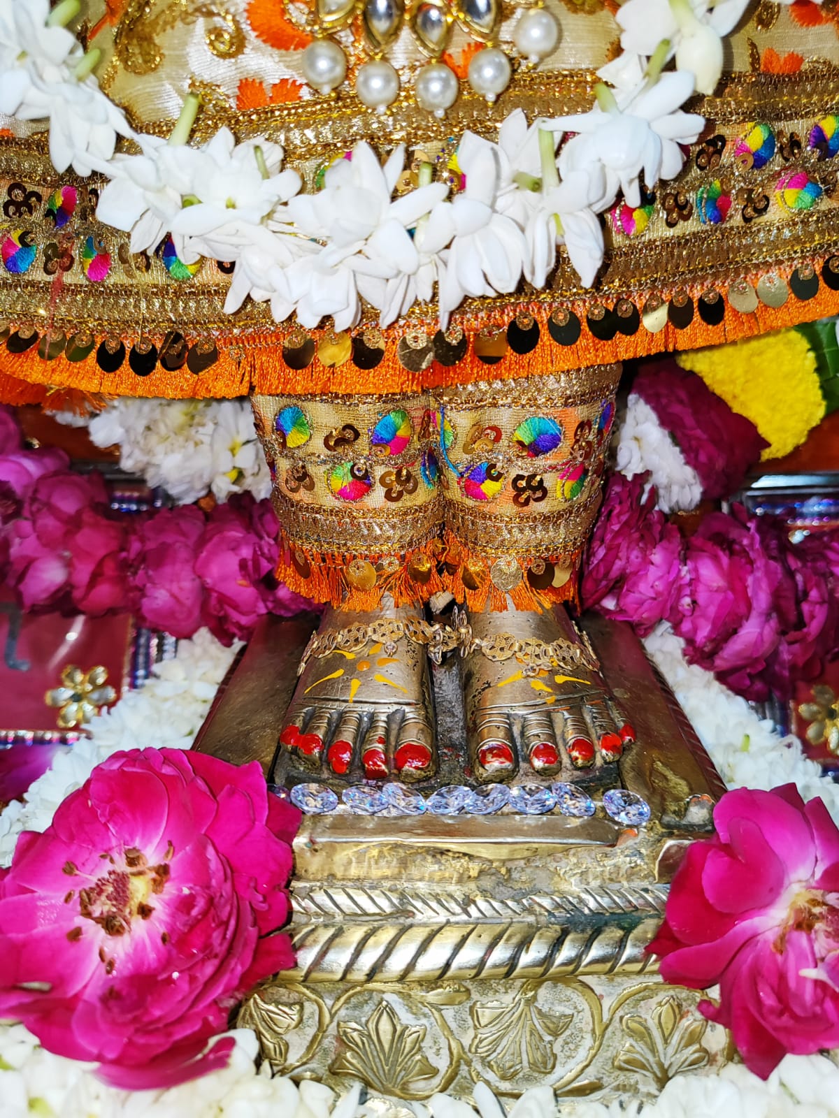 Rajasthan News, Sitaji's birth anniversary celebrated on Janaki Navami ...