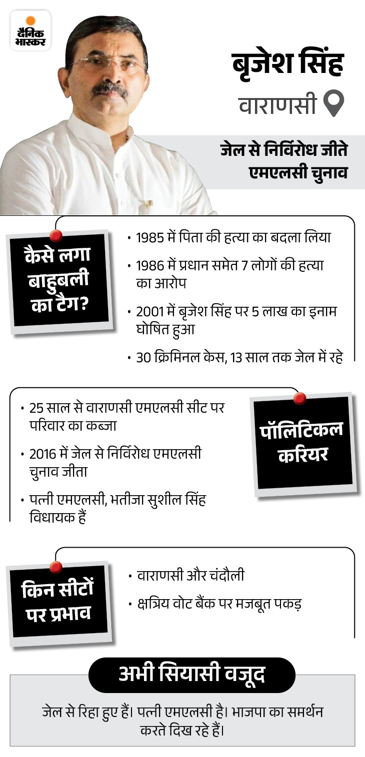 bahubali Brijbhushan Sharan Singh, Atiq Ahmed, Dhananjay Singh, Raja Bhaiya, Mukhtar Ansari ...