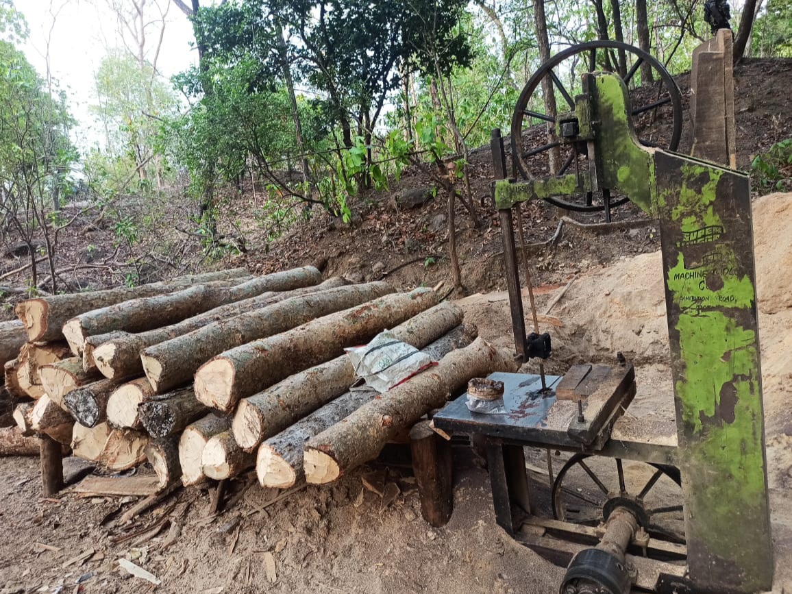 revealed in search operation in Gaya tree and Opium recovered by SSB ...