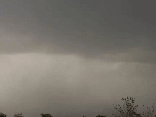 Punjab Weather Forecast ; Rainfall Report Moga Patiala City Weather ...