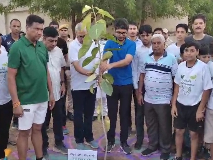 District Collector planted trees on World Environment Day Bundi ...