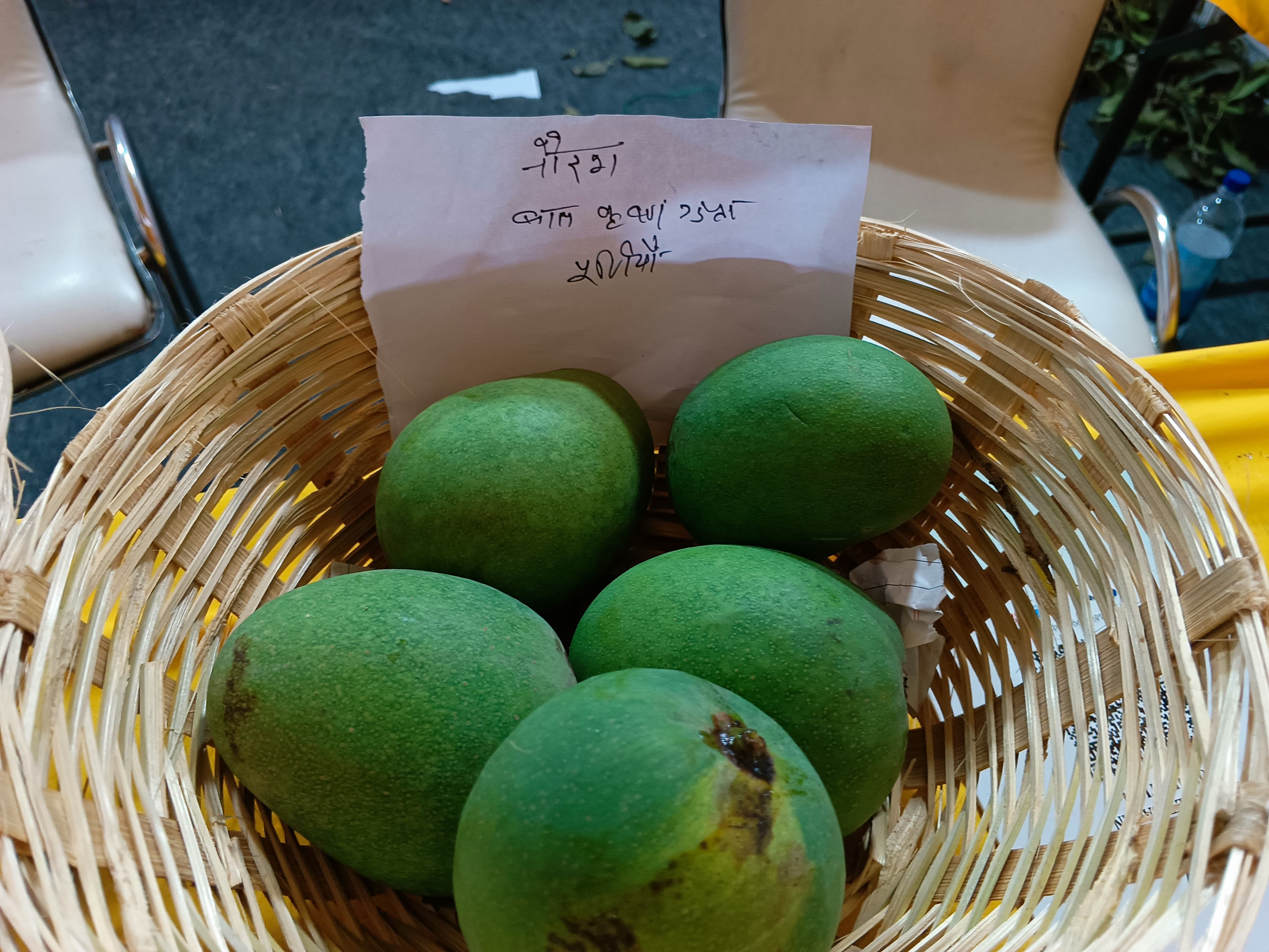 Know all about varieties of Mangoes in Bihar | 3 जिलों में ही 31 ...