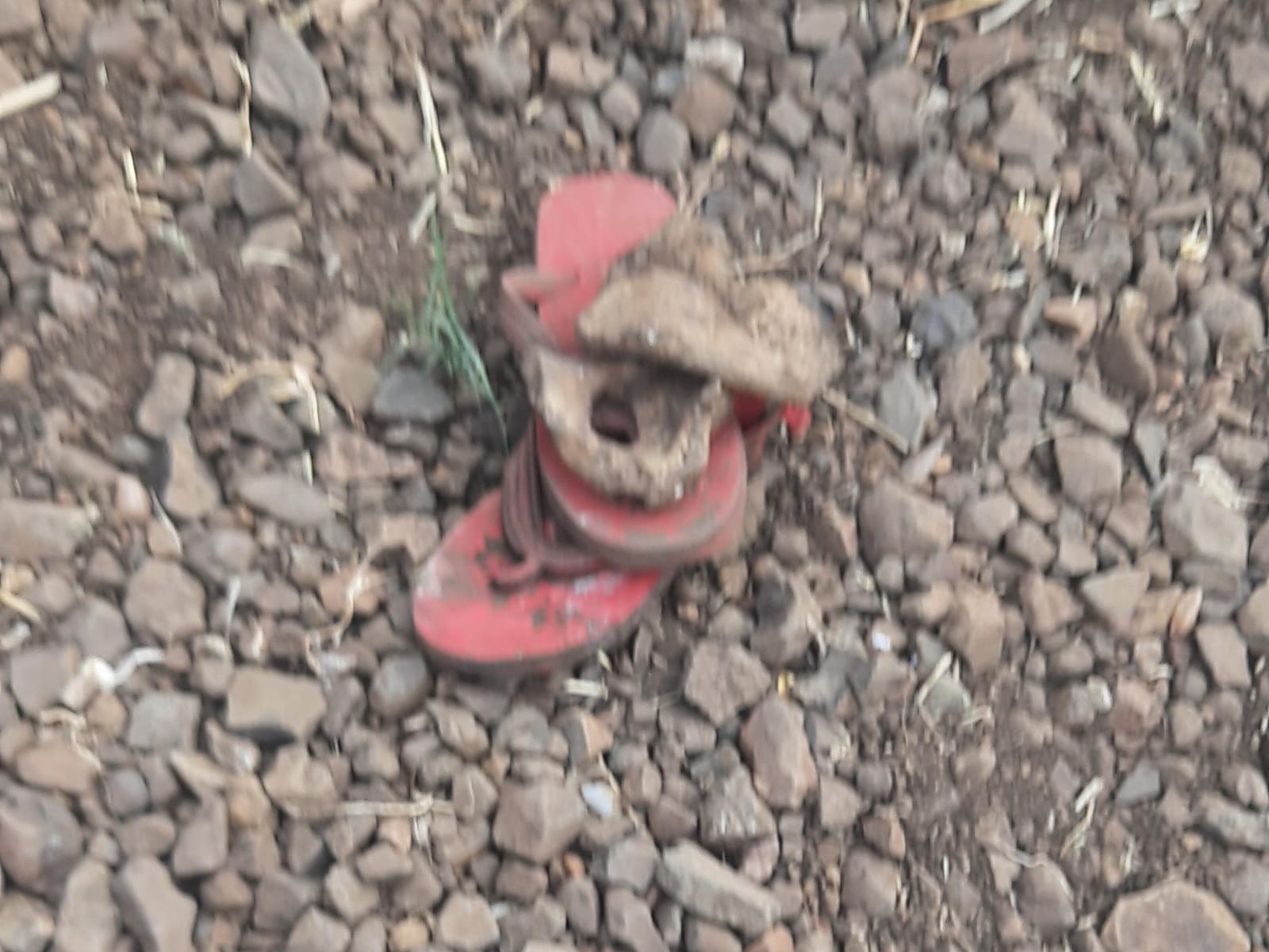 8 month old dead body was taken out from the well | कुएं से 8 महीने ...