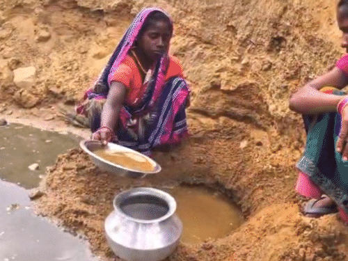 Animals and humans drink water from the same ghat | एक ही घाट से पानी ...