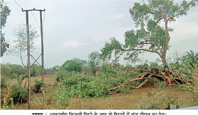 Pipal split in two due to lightning, 4 villages in darkness due to ...