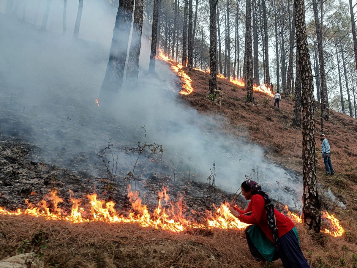 One more death in Binsar forest fire incident | बिनसर वनाग्नि कांड में ...