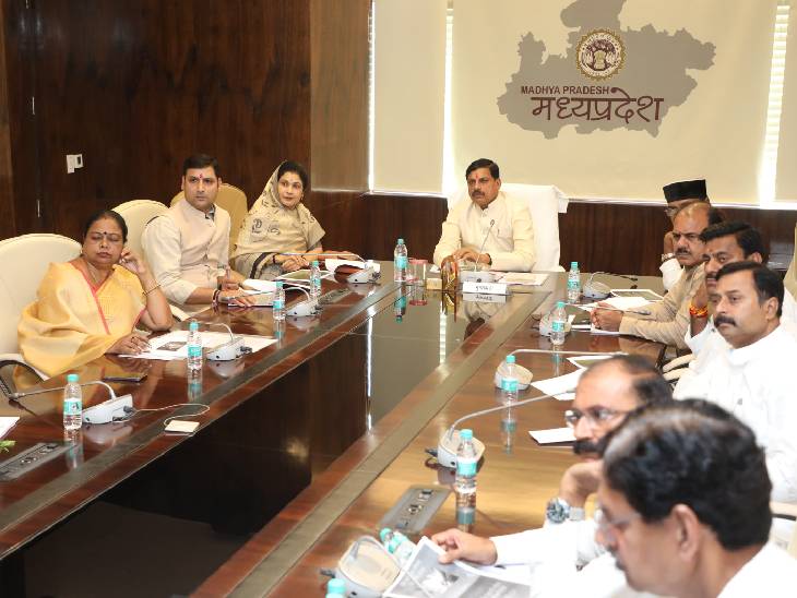 Collector will tell the plan of Hariyali Mahotsav to CM | CM ने देखा ...
