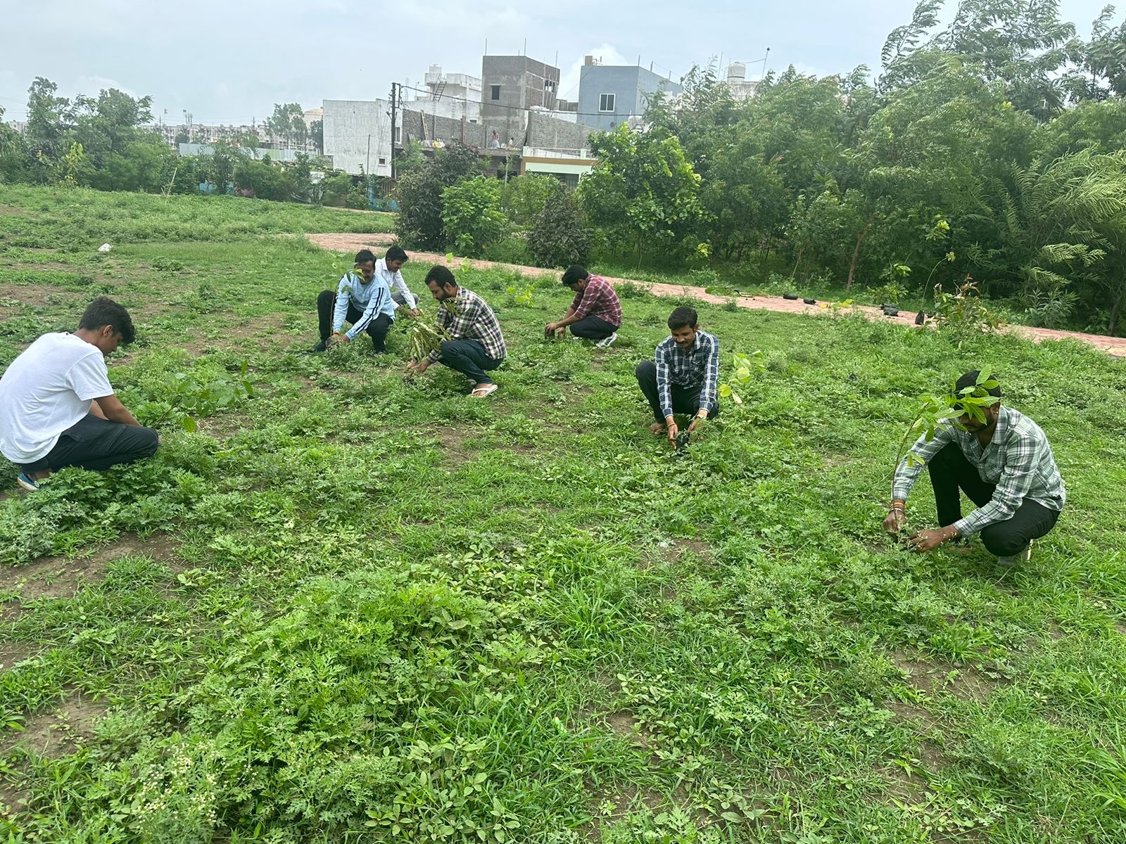 Plantation drive at VIP Paraspar Colony in Indore | इंदौर के वीआईपी ...