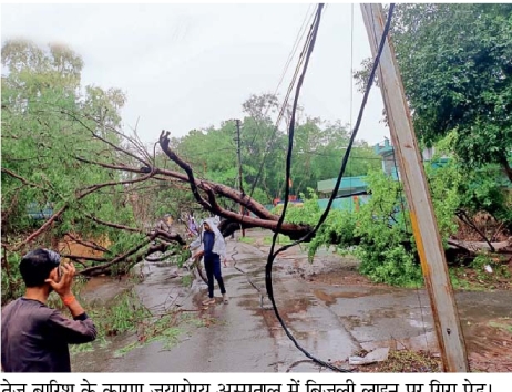 Power supply disrupted due to tree falling on power line, people ...