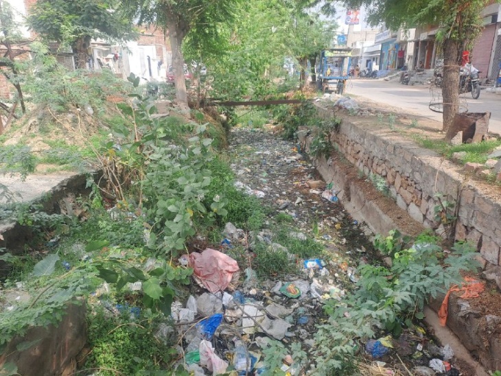 Jawai canal passing through Pali, Rajasthan is clogged with garbage ...