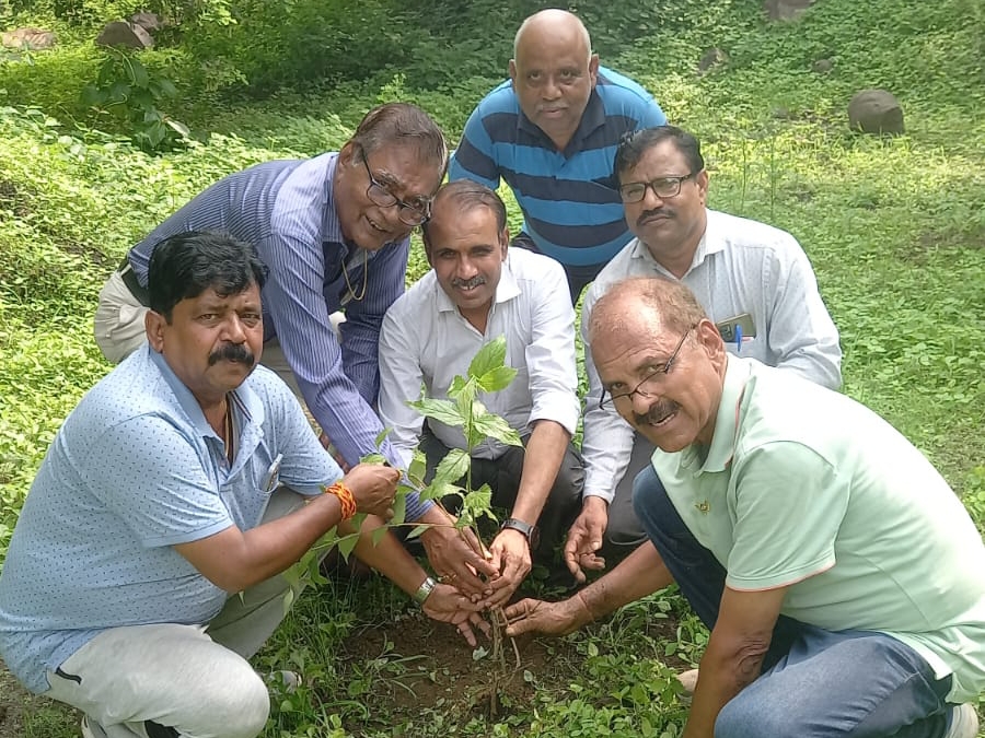 Kalchuri Kalar Samaj planted trees in Golden Jubilee Park | कलचुरी कलार ...