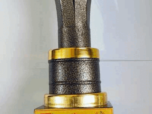 BHU doctor honored at India-Bhutan summit | BHU के डॉक्टर को मिला ...