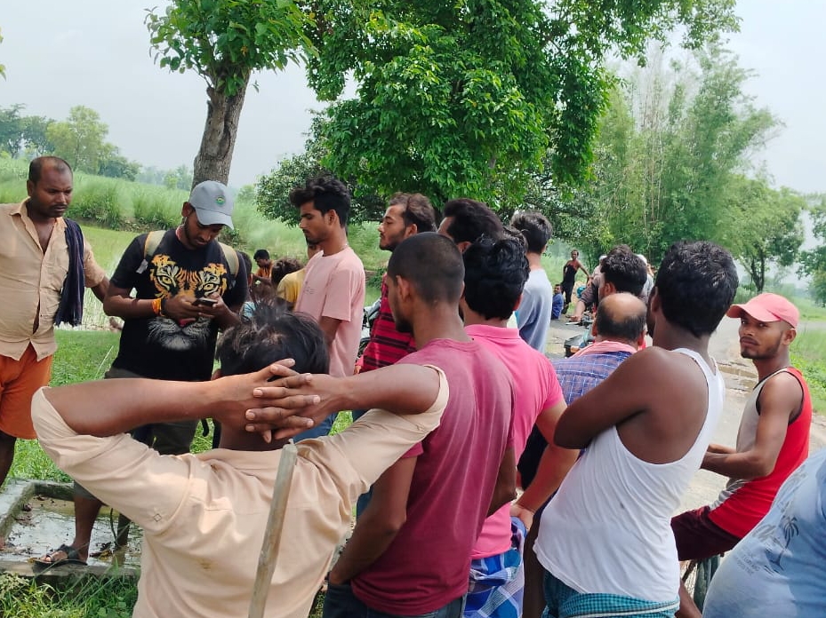 Nilgai found dead in the field... tiger attack suspected | खेत में मरी ...