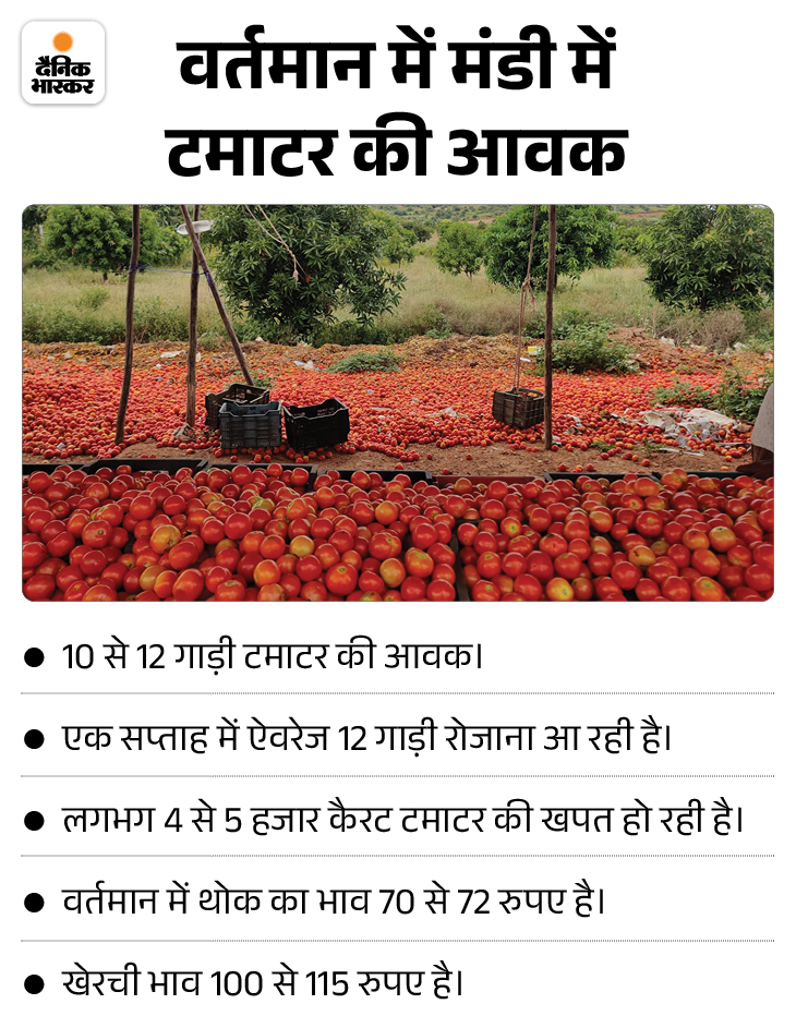 Indore; Tomatoes became costlier due to double price on Tuesday