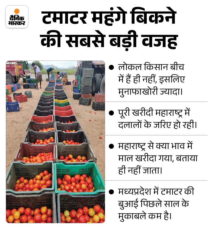 Indore; Tomatoes became costlier due to double price on Tuesday