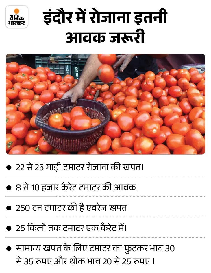Tomato prices fell again in Indore | इंदौर में एक हफ्ते में आधे हुए ...