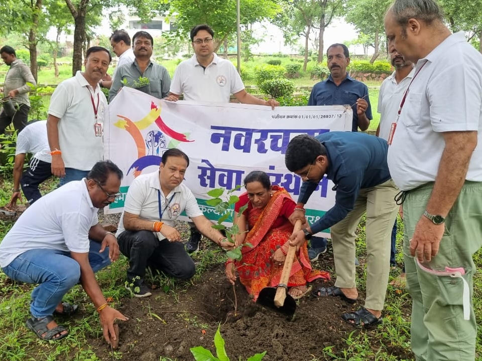 Navrachana Seva Sansthan planted trees in Chinar Park, Bhopal | भोपाल ...