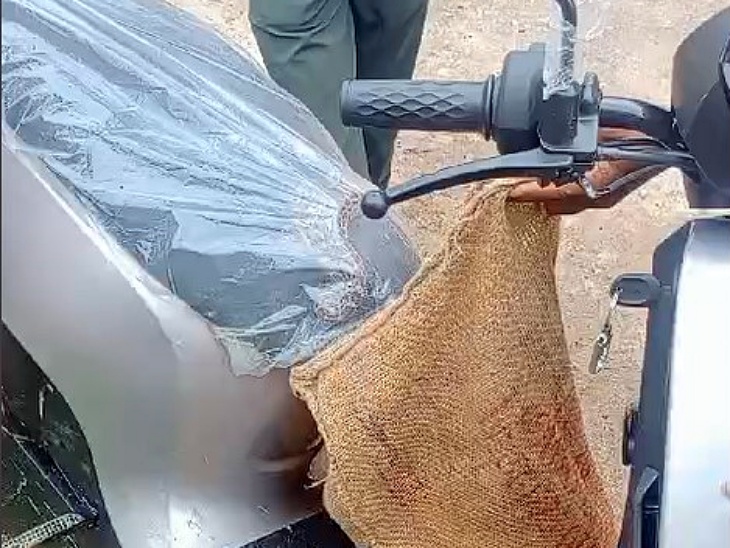 Python entered the scooter seat | स्कूटी की सीट में घुसा अजगर: बिनोल ...