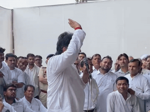 Haryana Hisar Adampur Assembly Election kuldeep bishnoi Slogan Jai shri ...