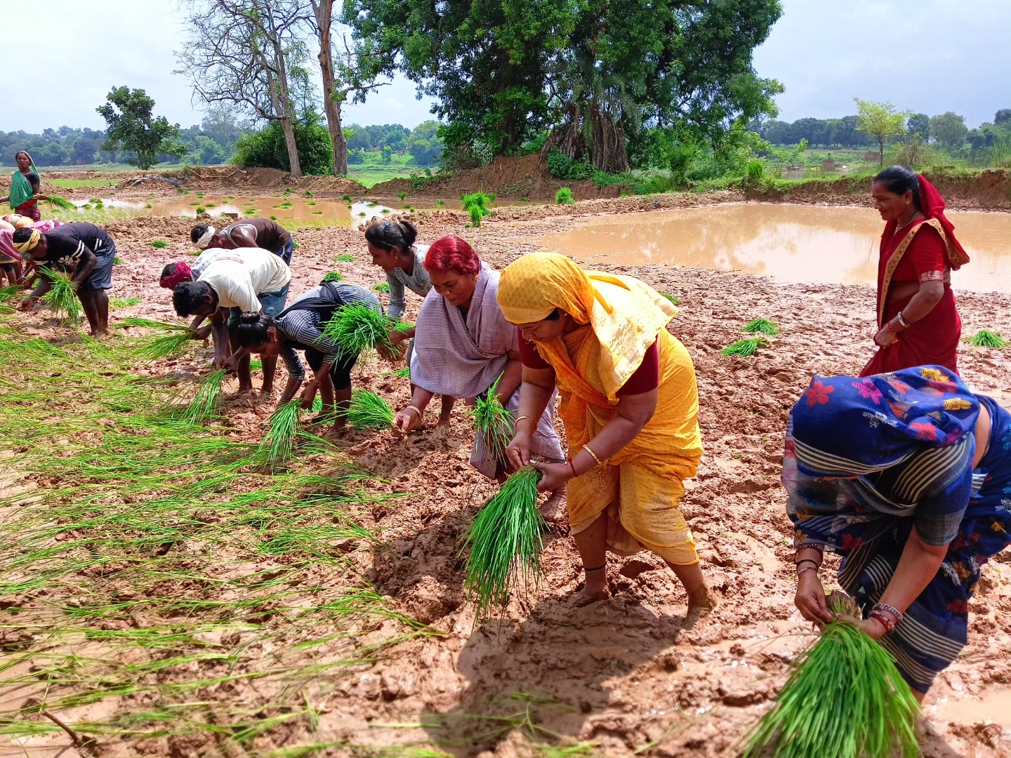 Latest Mandla News (मंडला न्यूज़): पढ़ें 30 जुलाई के ताज़ा समाचार दैनिक ...