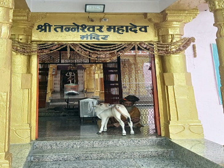 Beginning of Sawan: Waiting for rare idols stolen from Taneshwar ...