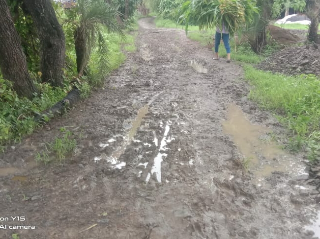 Latest Diwadiya News (दिवादिया (इछावर) न्यूज़): पढ़ें 24 जुलाई के ताज़ा ...