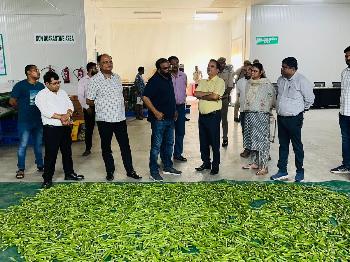 3 tons of mango and 300 kg of ladyfinger sent from Amroha to Dubai ...