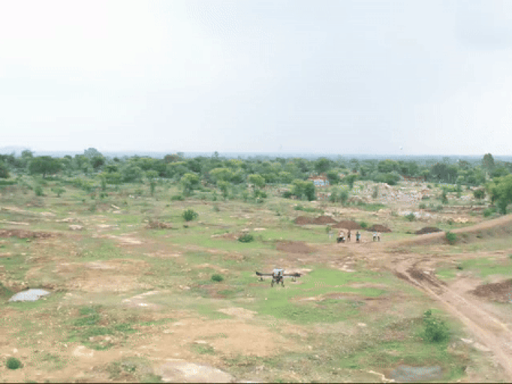 Rewa forest department is doing aerial seeding with drones | मध्यप्रदेश ...