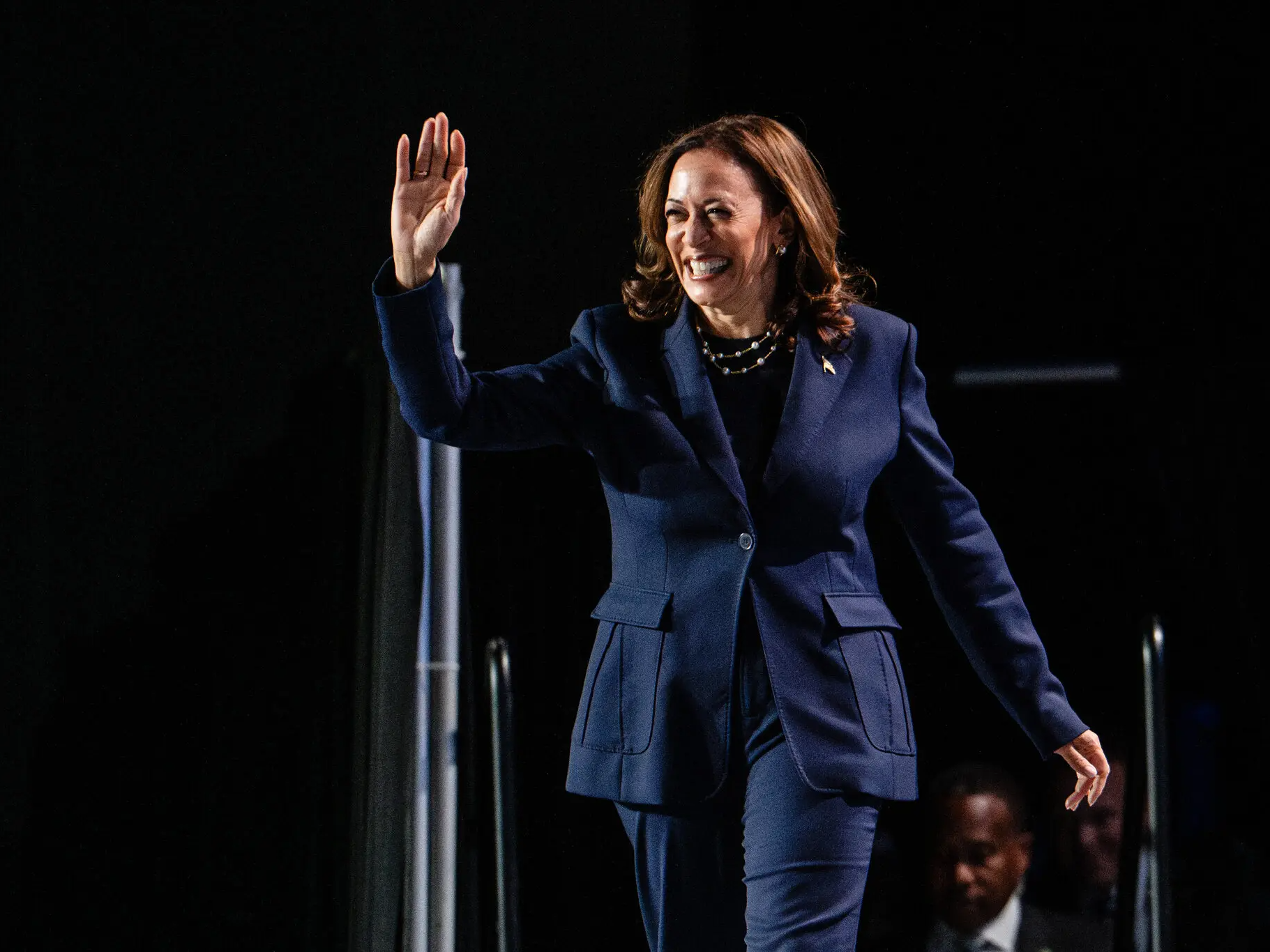 Democratic delegates begin online voting to nominate Harris | US ...