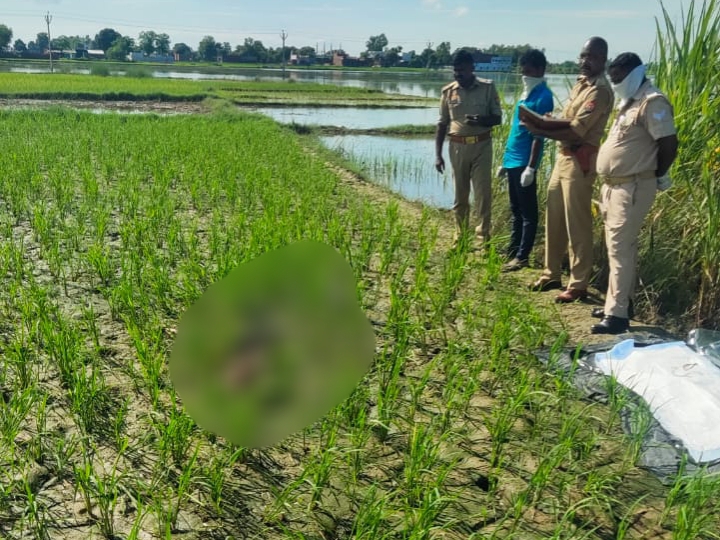 Human skeleton found in paddy field in Gonda