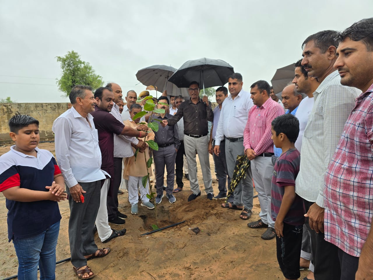 Pole fencing and drip system installed to protect plants, pledge to ...