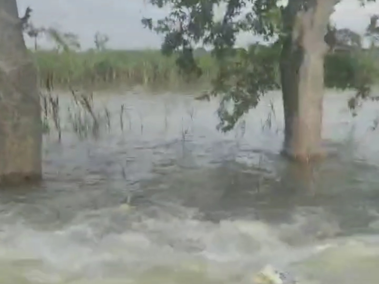 Water started flowing again on the Bhira-Palia road | भीरा-पलिया मार्ग ...