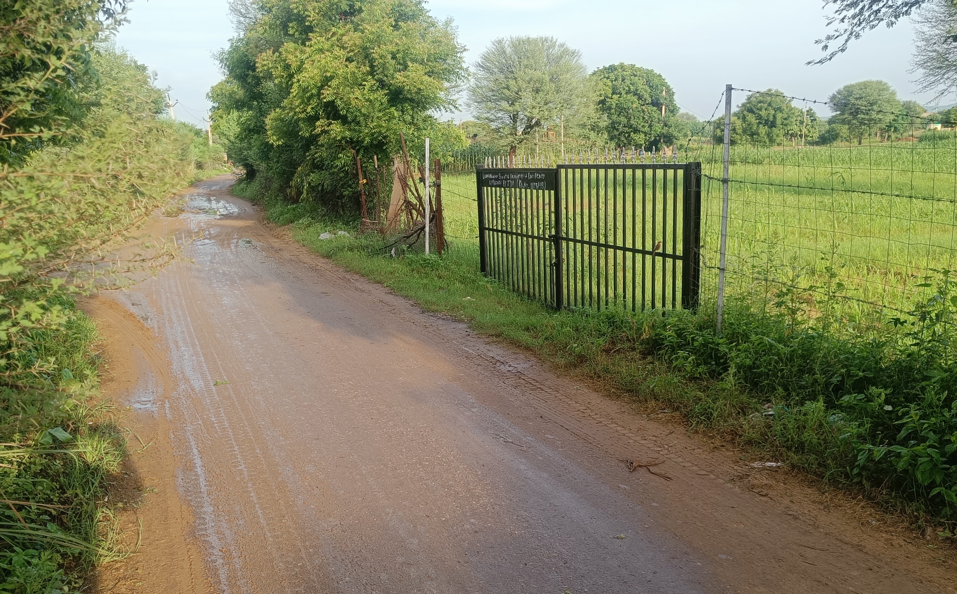 12 meter road was shown on paper, but only 4 meter road was shown on ...