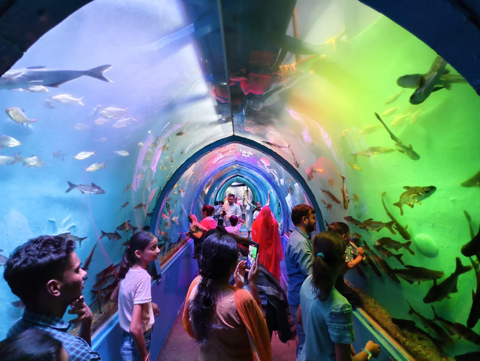 One lakh fishes in the underwater fish tunnel, more than 20 exotic ...