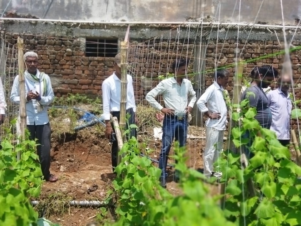 Drip irrigation system installed in Babhani | बभनी में लगाया गया ड्रीप ...