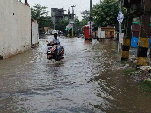 Bihar Monsoon Update; Rain alert in 23 districts of Bihar