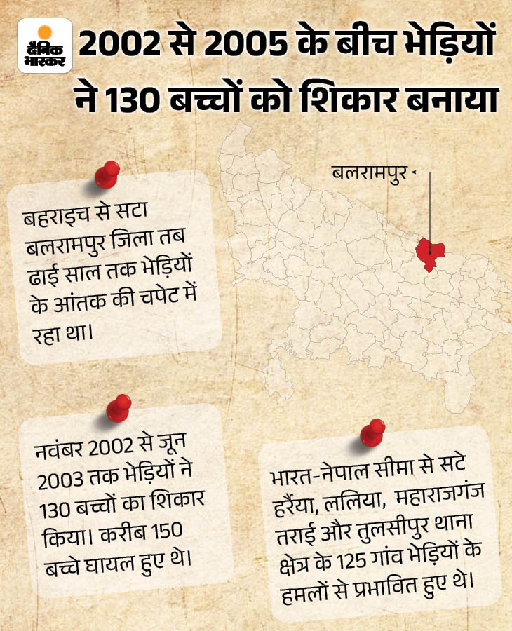 UP Bahraich Jaunpur Wolf Attack Explained History; Why Wolves Attack at ...