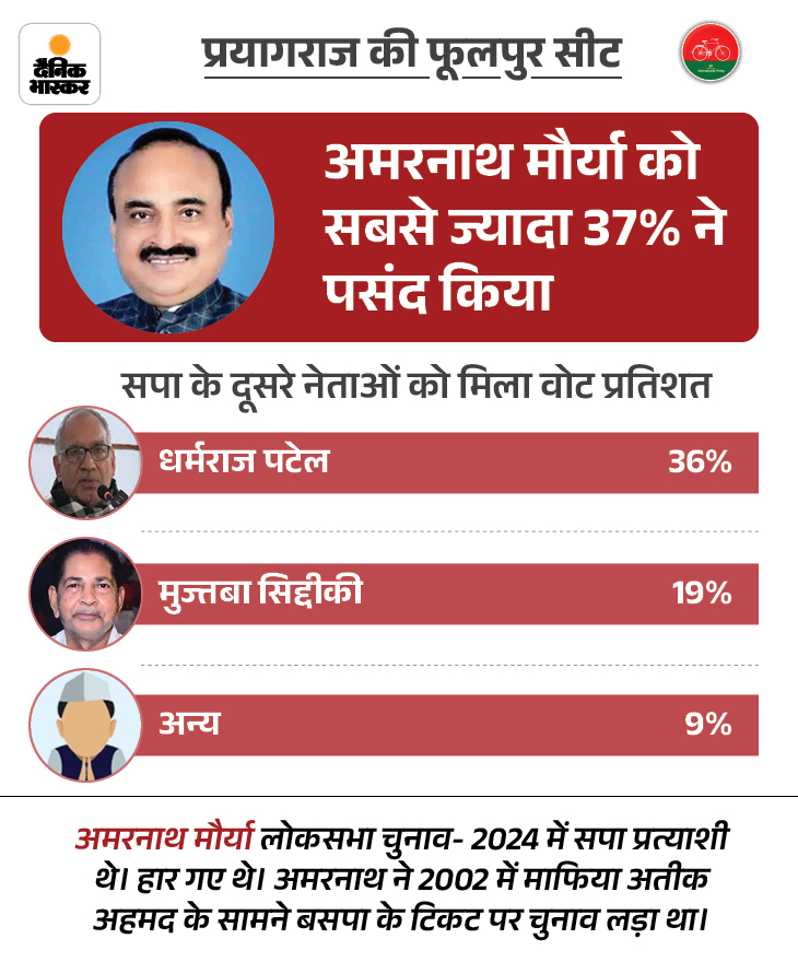 UP By-election 2024 Samajwadi party Candidate Survey Result |up ...