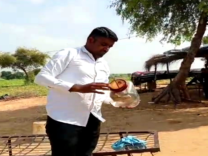 4 feet long cobra snake came on the tubewell | ट्यूबवेल पर आया 4 फीट ...